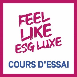 Comment intégrer l'ESG Luxe? | ESG Luxe